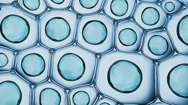 Redesign Life - Micro CRISPR