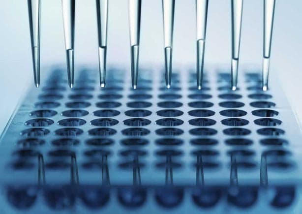 Redesign Life - Micro CRISPR