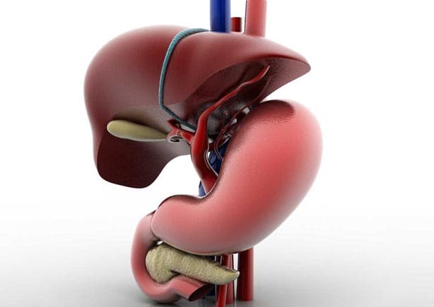 Redesign Life - Micro CRISPR