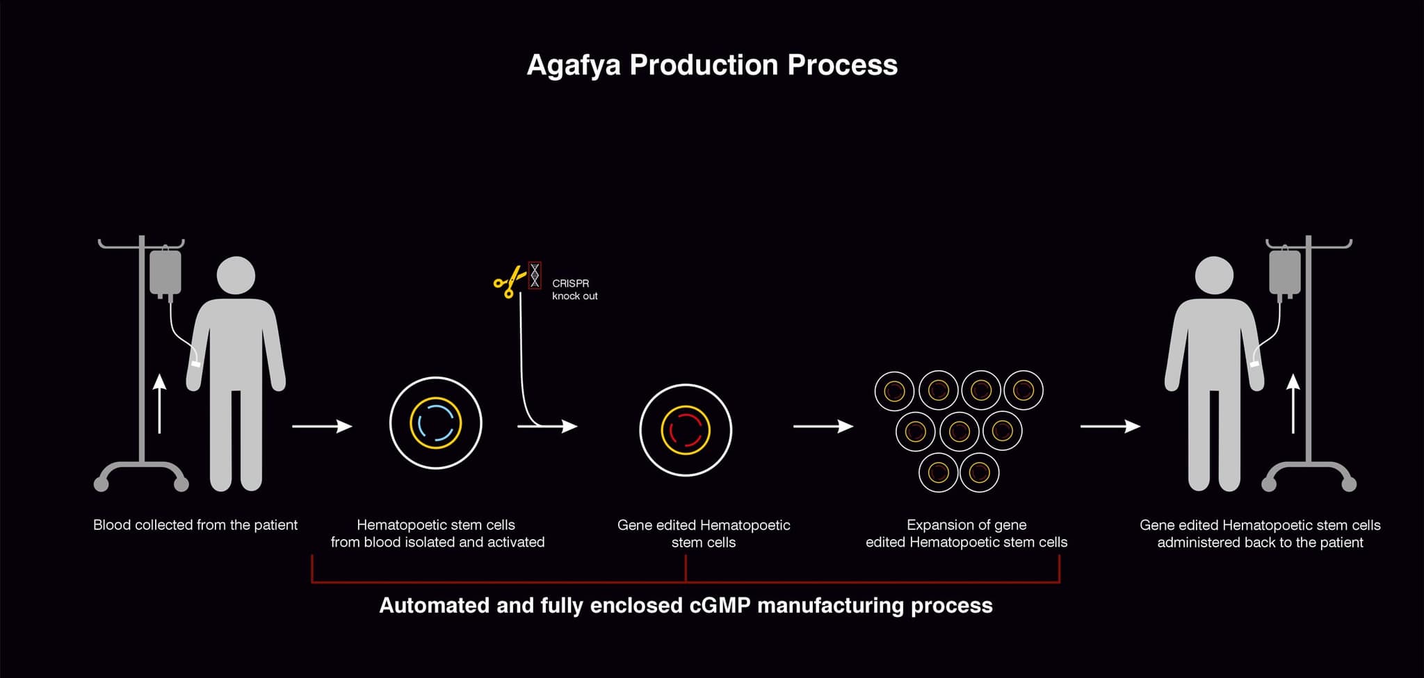 Living Therapeutics - Micro CRISPR